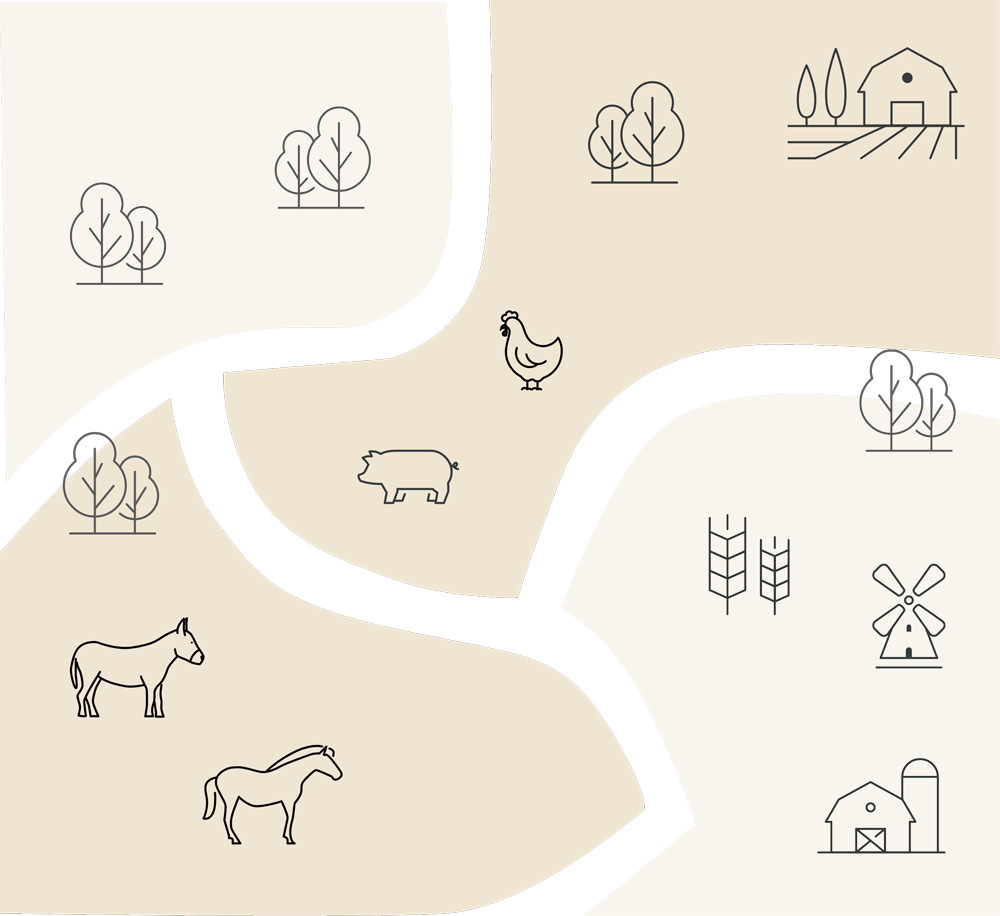 Ranch Home - Agrocasa Venezuela